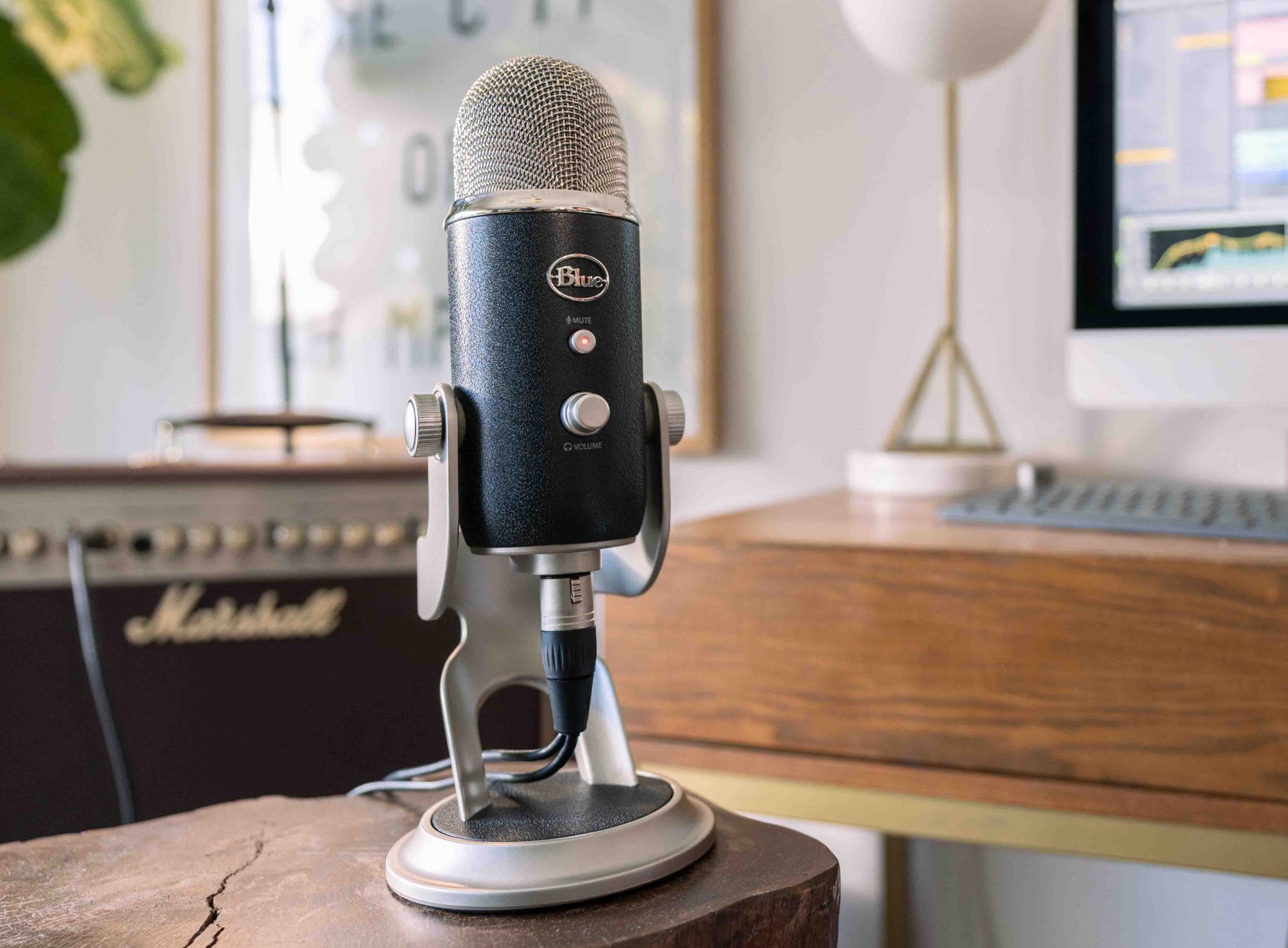 המיקרופונים של חברת Blue בישראל במחיר החל מ- 289 שקלים - ג'ירפה