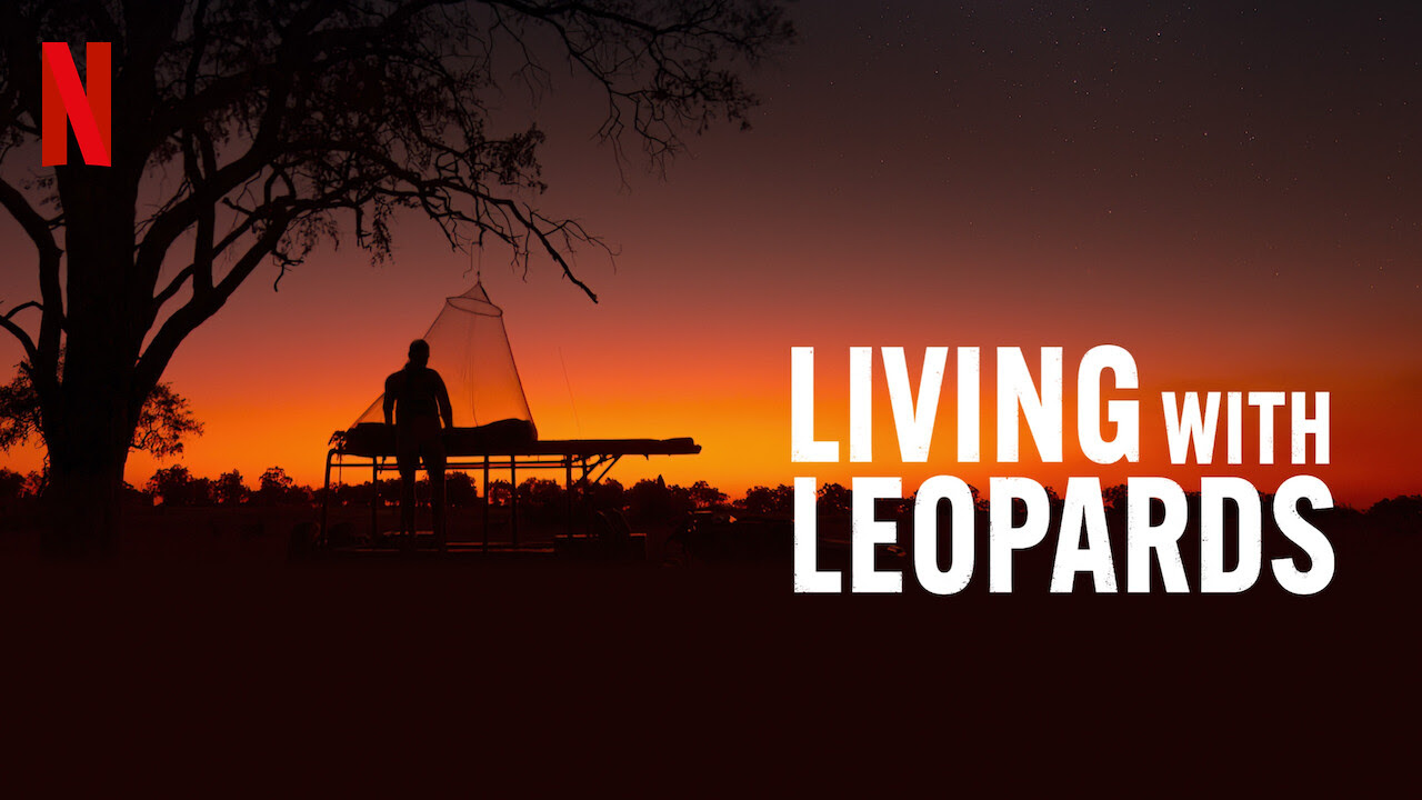 חדש בטלוויזיה: יום שישי, 10 במאי, 2024 - ג'ירפה